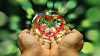 Le PORTAIL - Elishean 777