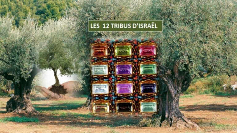 L'Alyah des 10 tribus perdues - Elishean 777